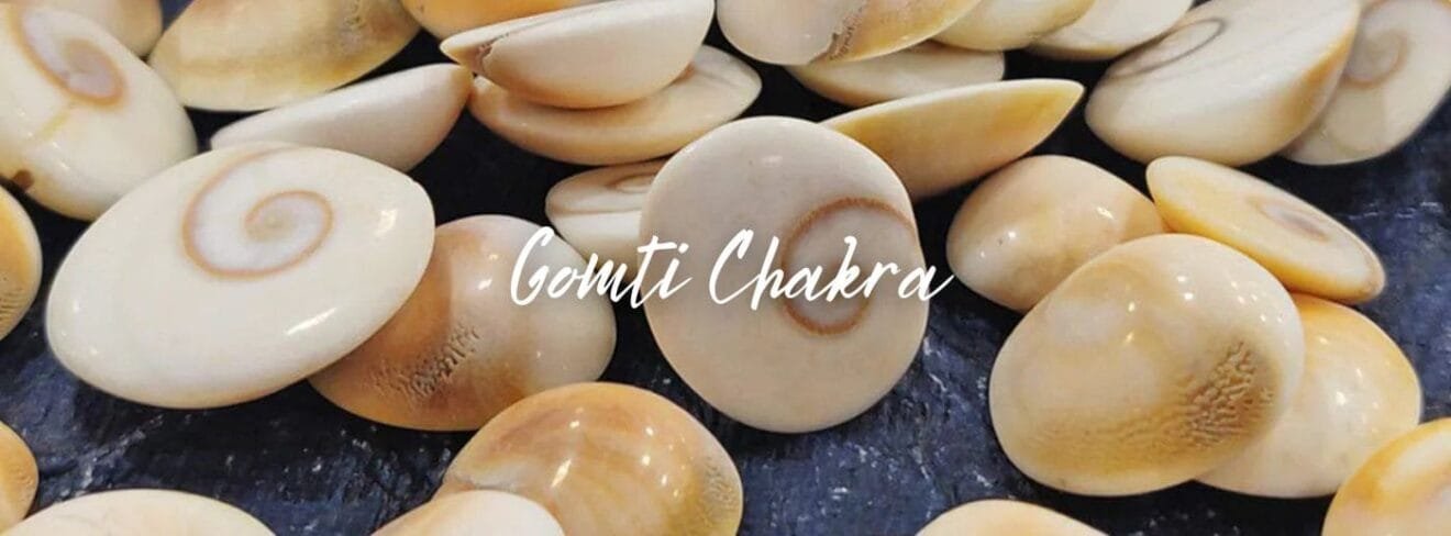 Original Gomti Chakra | Gomti Chakra Price | DevLink